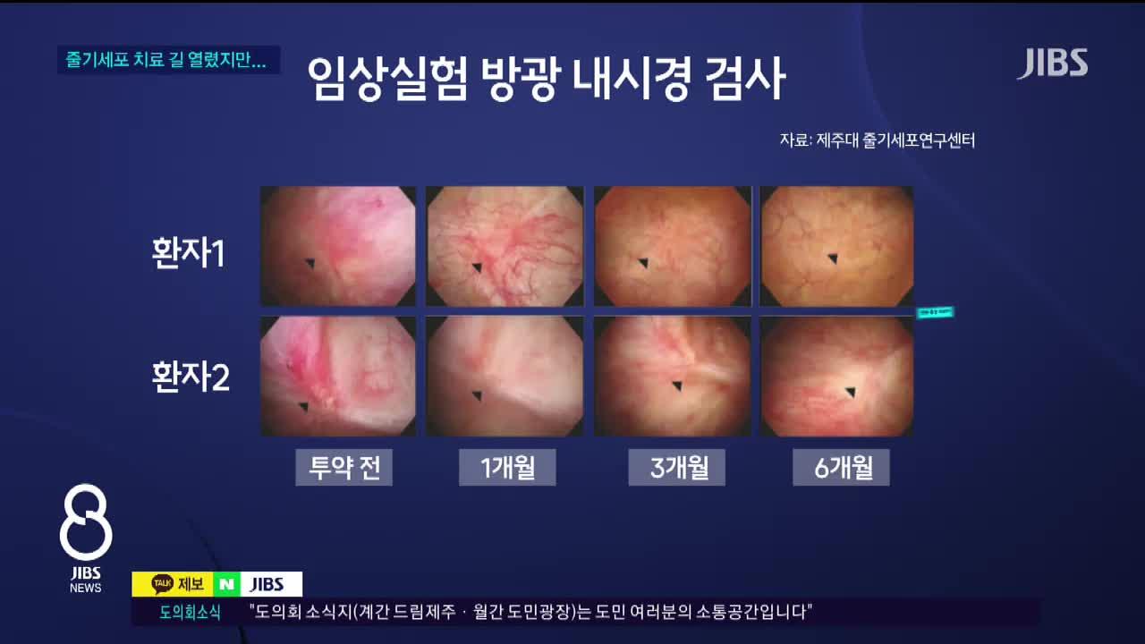 JIBS | 뉴스 다시 보기